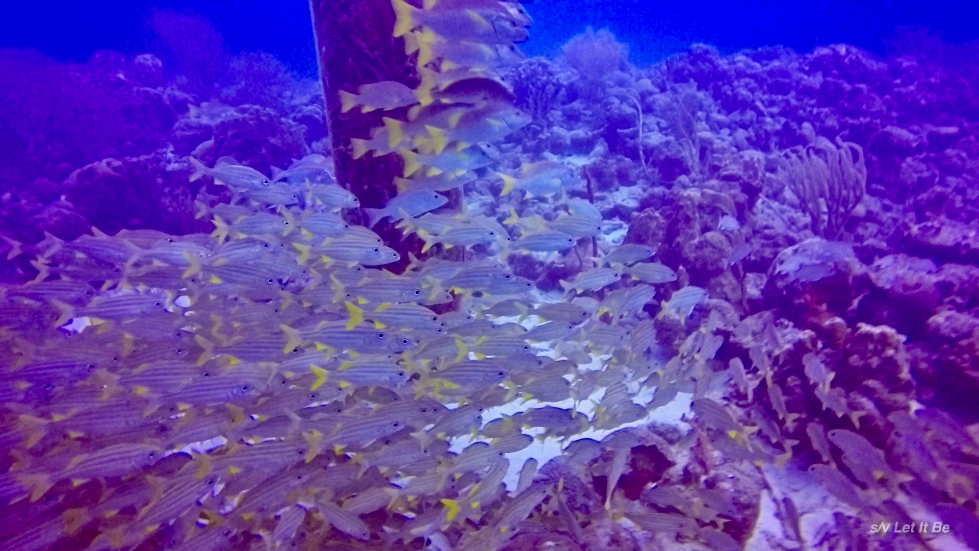 Goodbye Aruba, Hello Bonaire! – Ticket to Ride