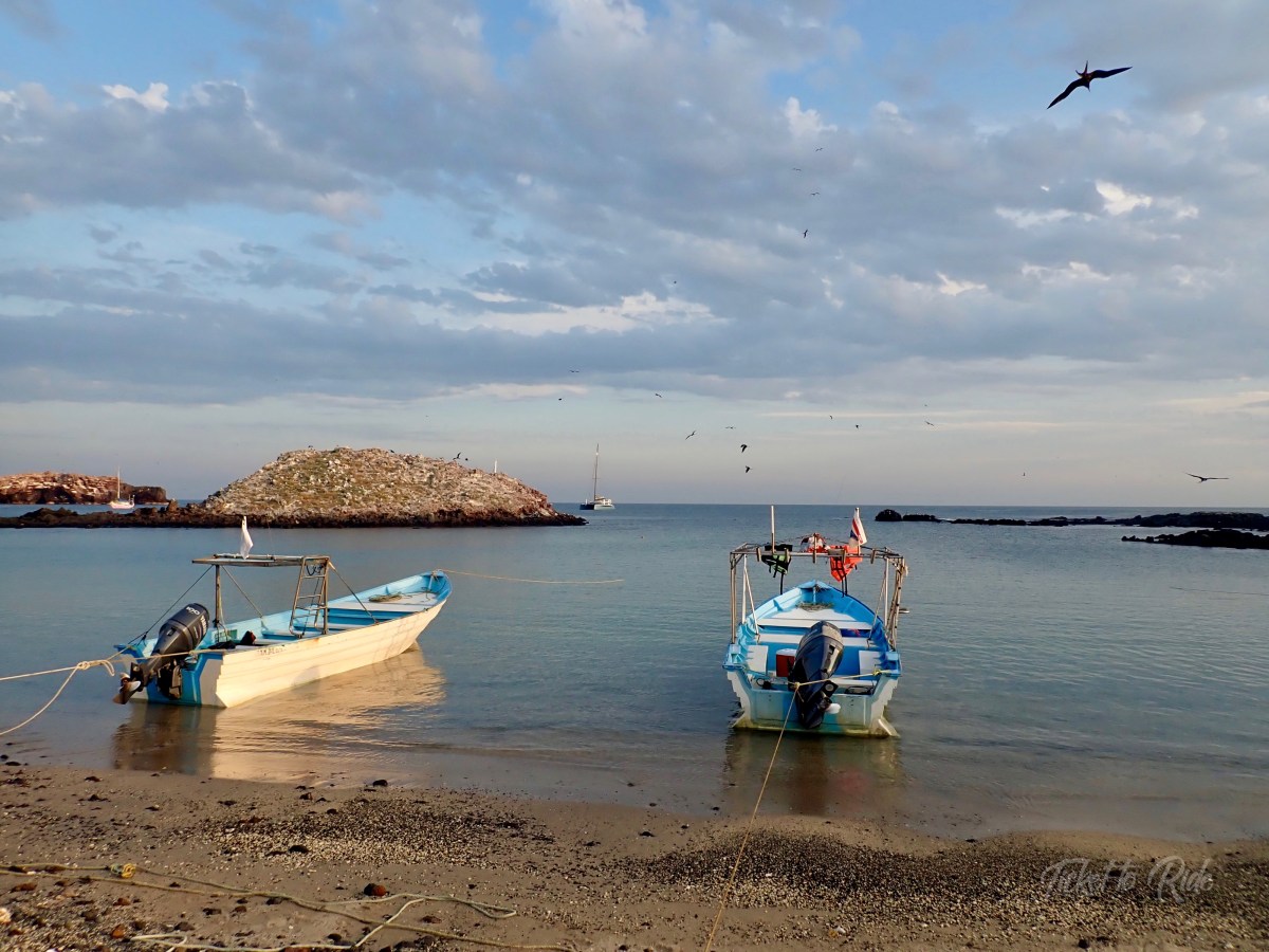 Isla Isabel ~ Escape To Paradise for Birds and Birders. – Ticket to Ride