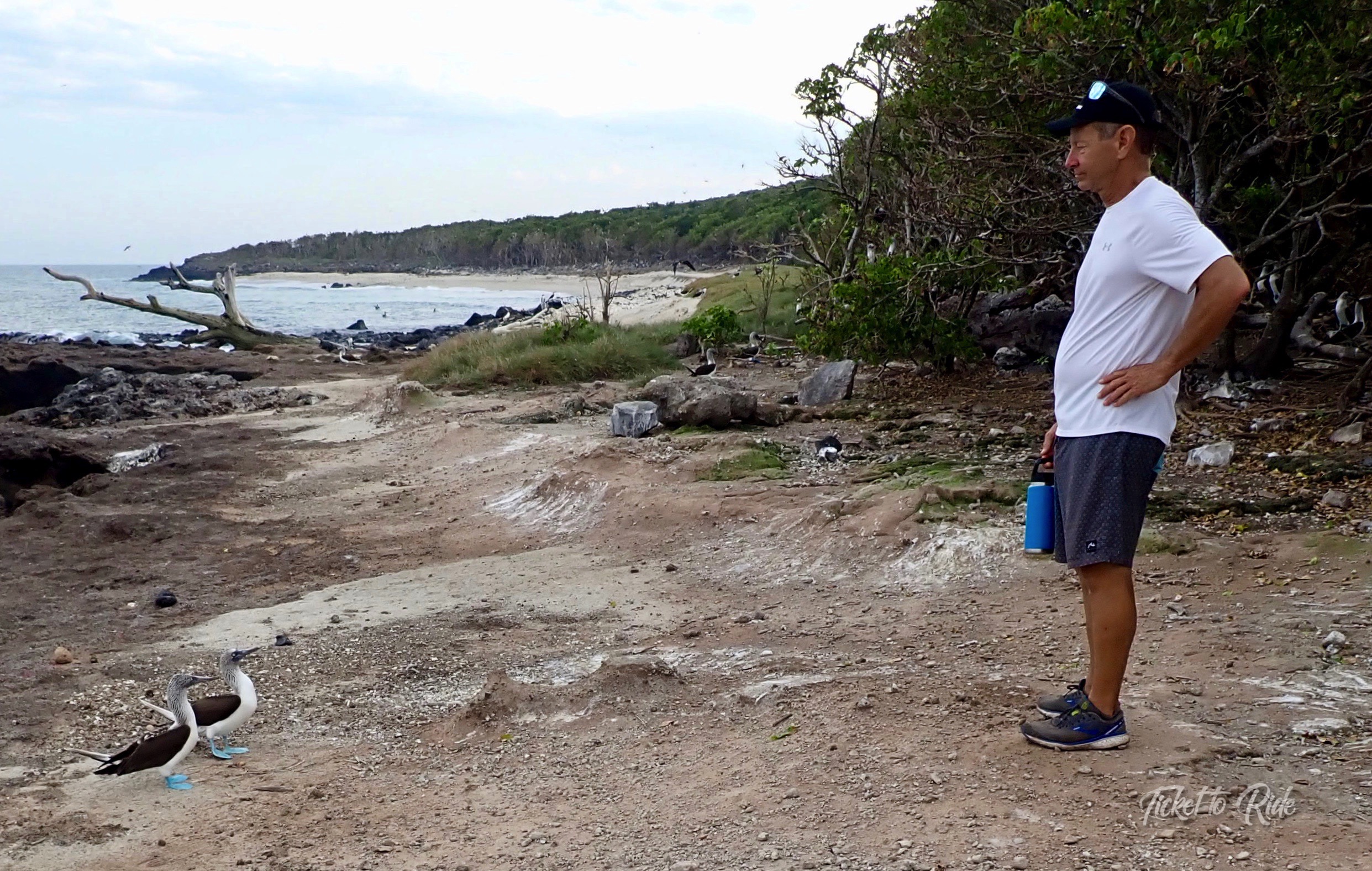 Isla Isabel ~ Escape To Paradise for Birds and Birders. – Ticket to Ride